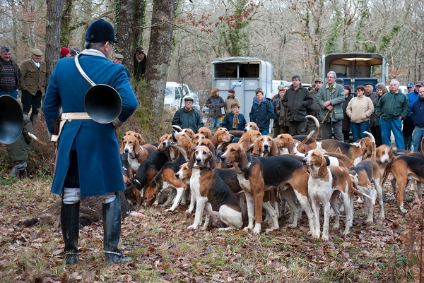 Les dernières infos chasse résumées pour vous - épisode 2